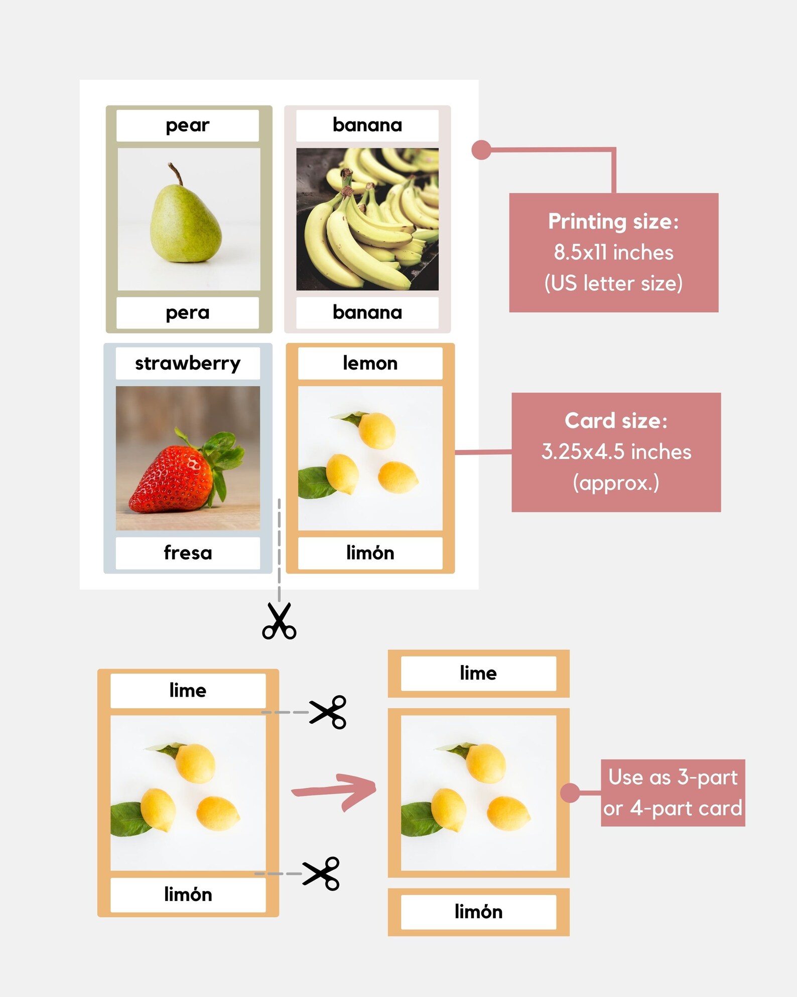 Fruits-montessori Language Cards, Montessori Printable, Montessori ...