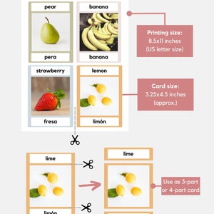 Fruits-montessori Language Cards, Montessori Printable, Montessori ...