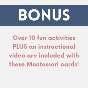 Vegetables-montessori Language Cards in English and Spanish ...