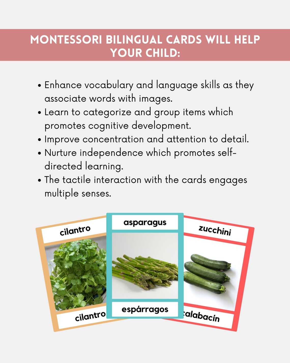 Vegetables-montessori Language Cards in English and Spanish ...