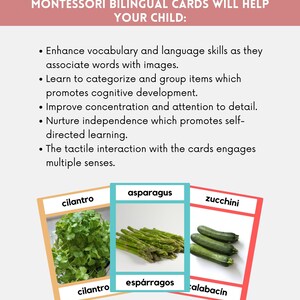 Vegetables-montessori Language Cards in English and Spanish ...
