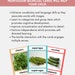 Vegetables-montessori Language Cards in English and Spanish ...