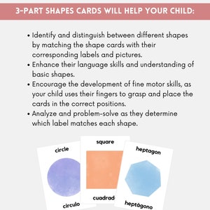 Bilingual Shapes Montessori 3 Part Card, 2D Shape Cards, Nomenclature ...