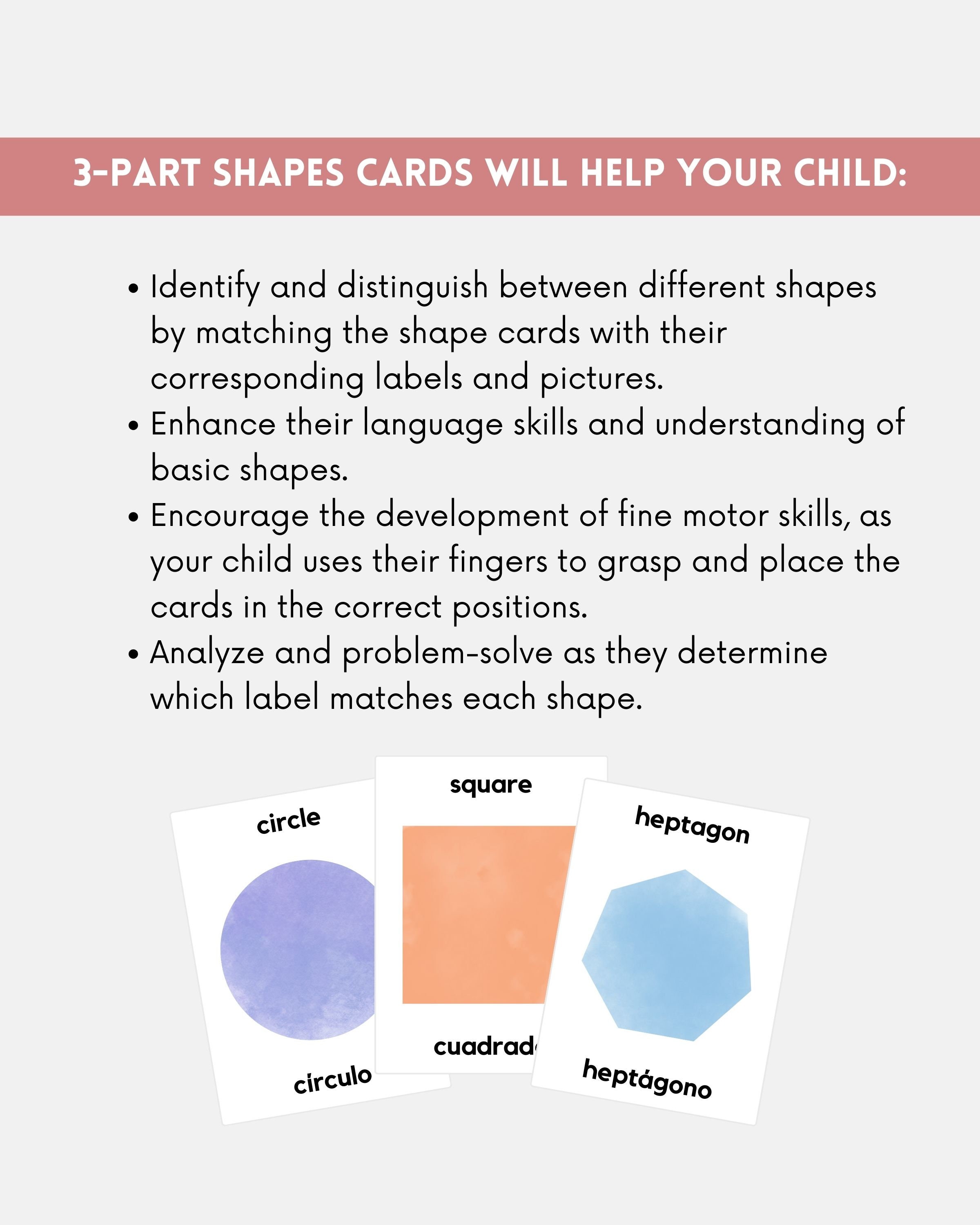 Bilingual Shapes Montessori 3 Part Card, 2D Shape Cards, Nomenclature ...
