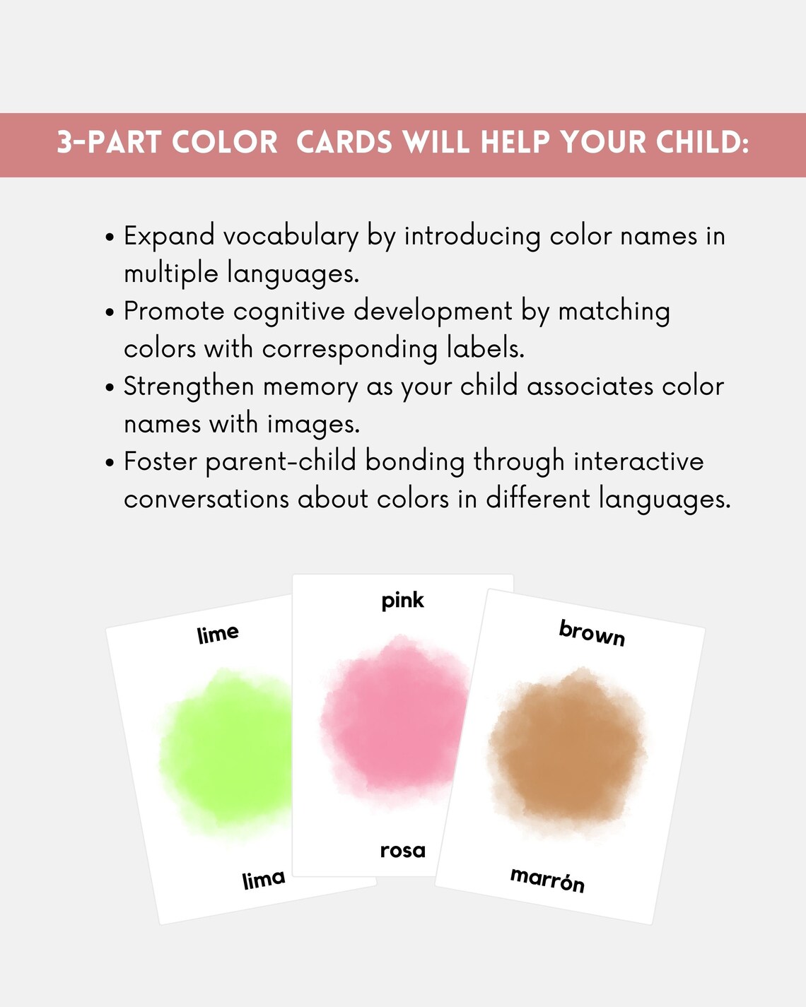 Bilingual Colors Montessori 3 Part Card, Toddler Nomenclature Cards ...