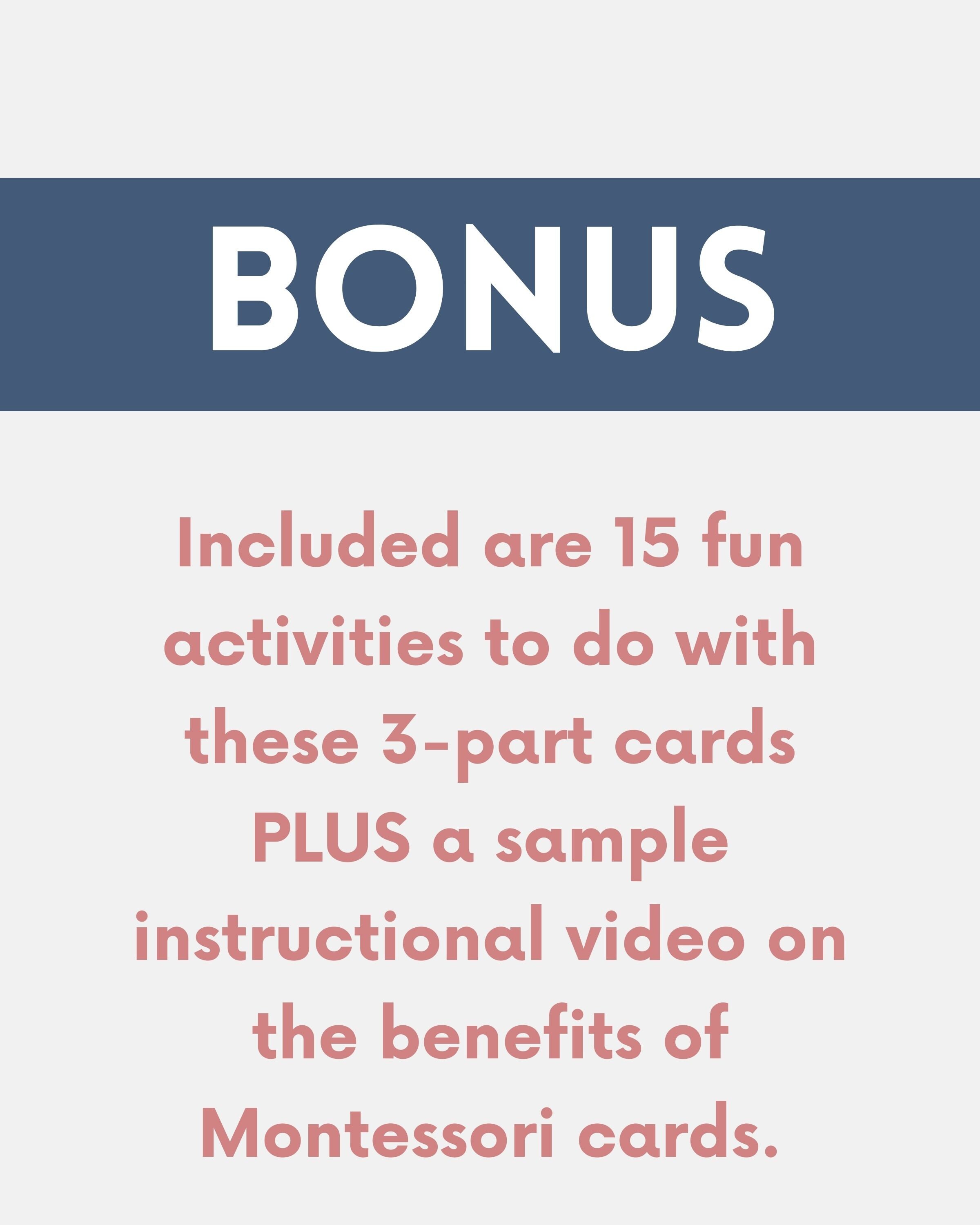 Bilingual Shapes Montessori 3 Part Card, 2D Shape Cards, Nomenclature ...