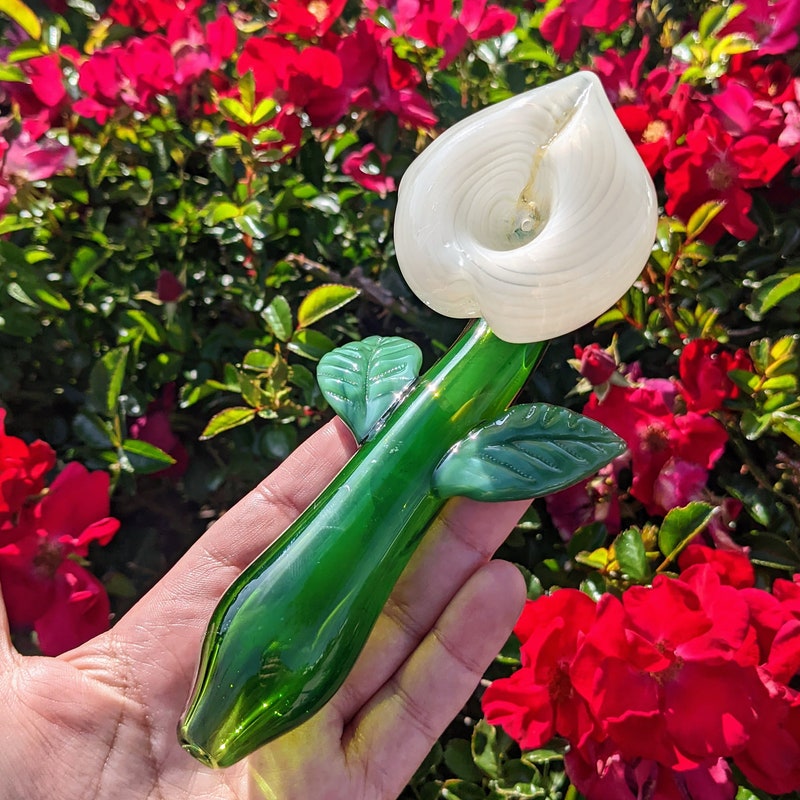 Shell Pipe - Etsy