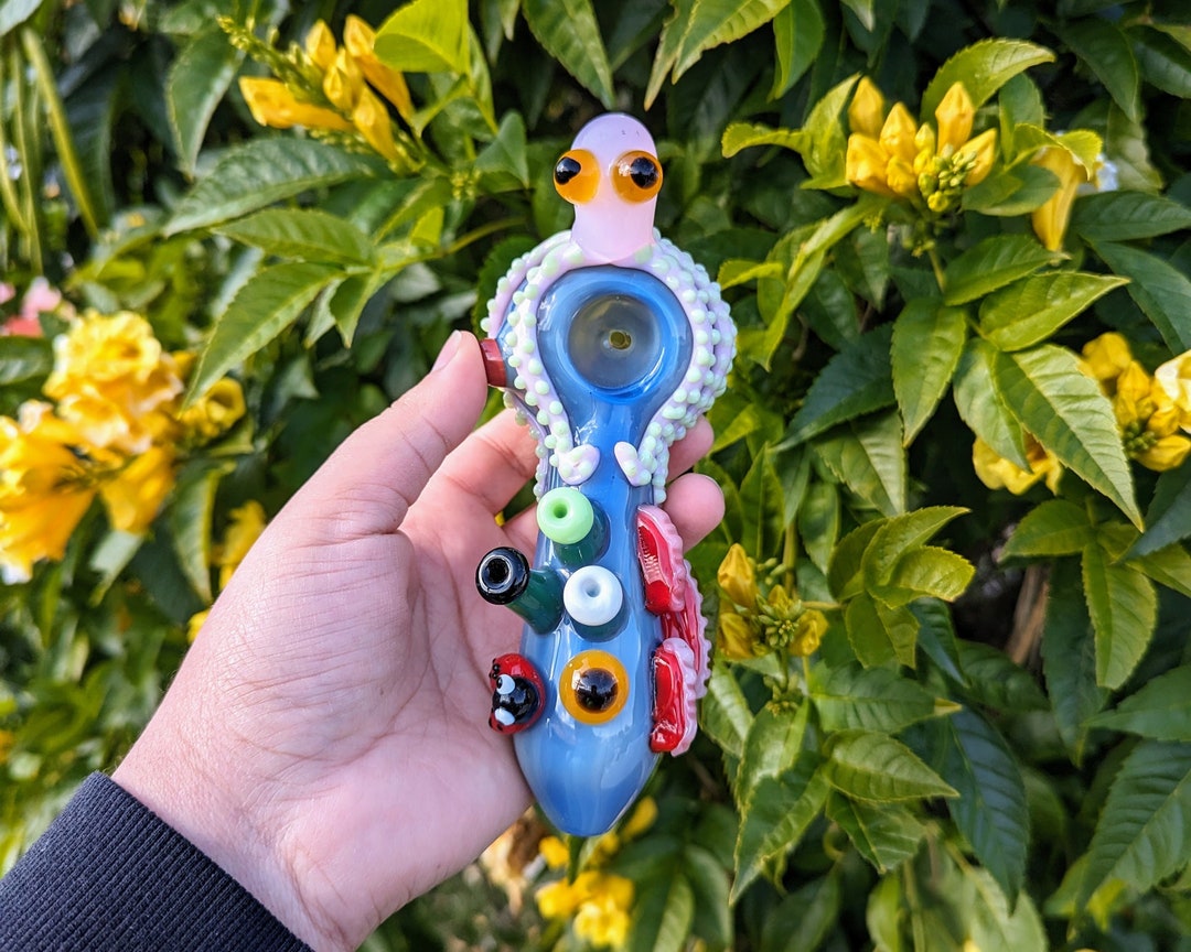 Glass Pipes/ Glass Pipe/ Pipe/ Pipes/ Frog Glass Pipe/ S82 - Etsy