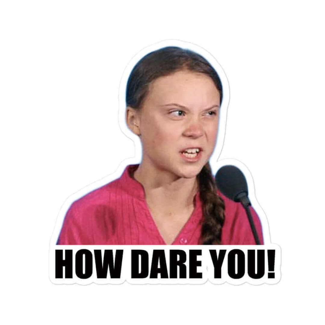 How Dare You Sticker, Gretta Decal, Gas Tank Sticker, Funny Truck ...