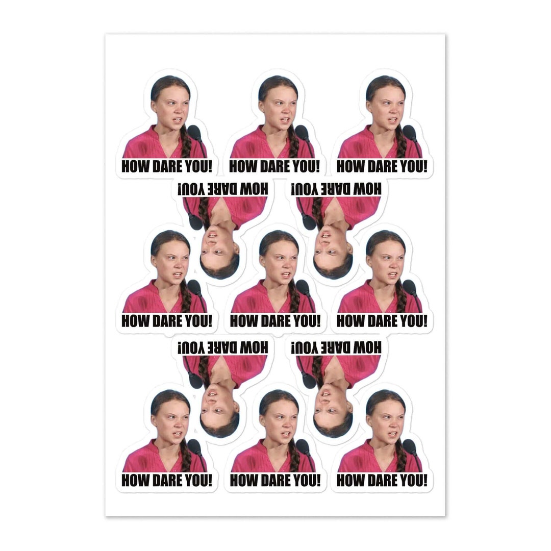 How Dare You Sticker Sheet, Gretta Decal, Gas Tank Sticker, Funny Truck ...