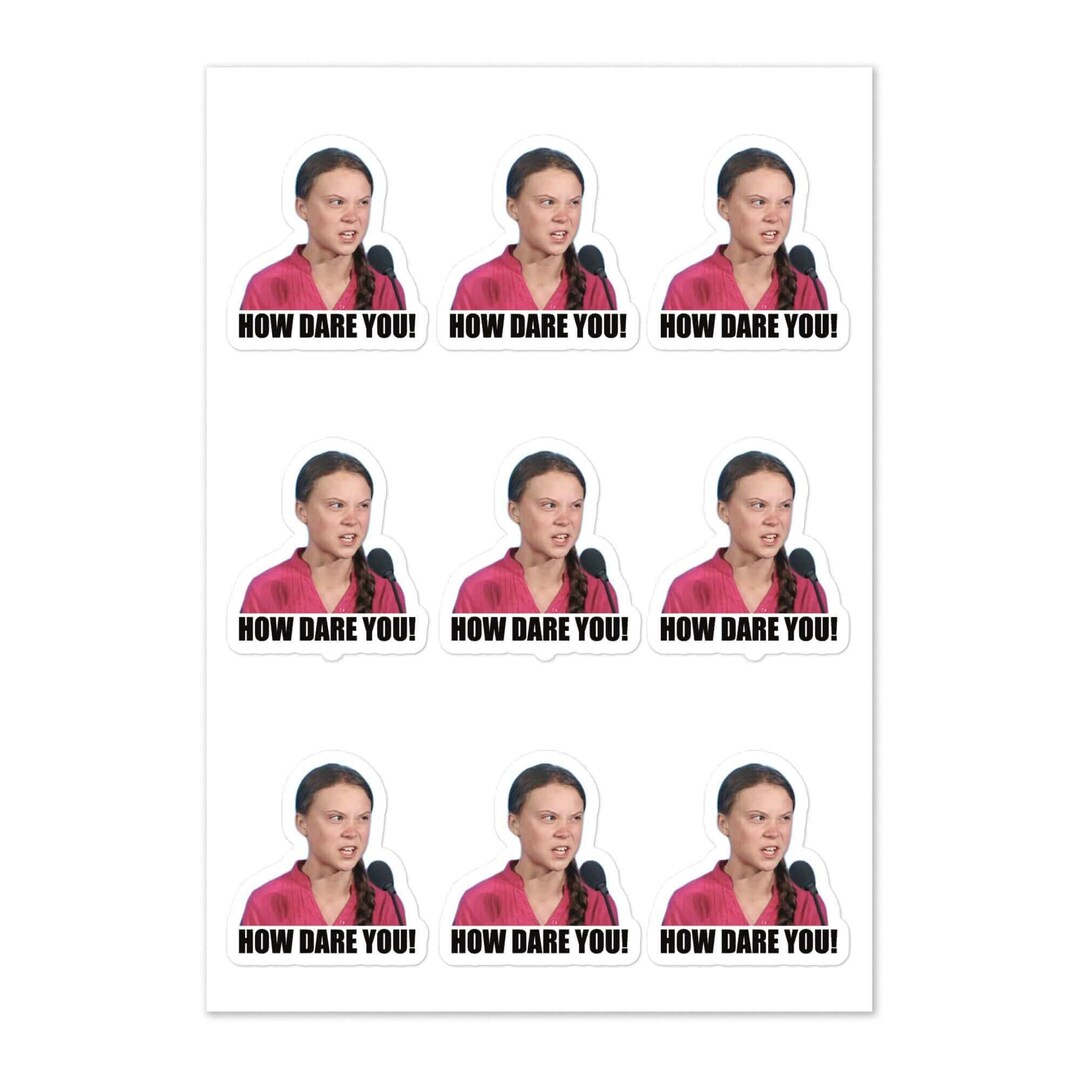 Greta Thunberg "how Dare You" Sticker Sheet, Laptop Decal - Etsy