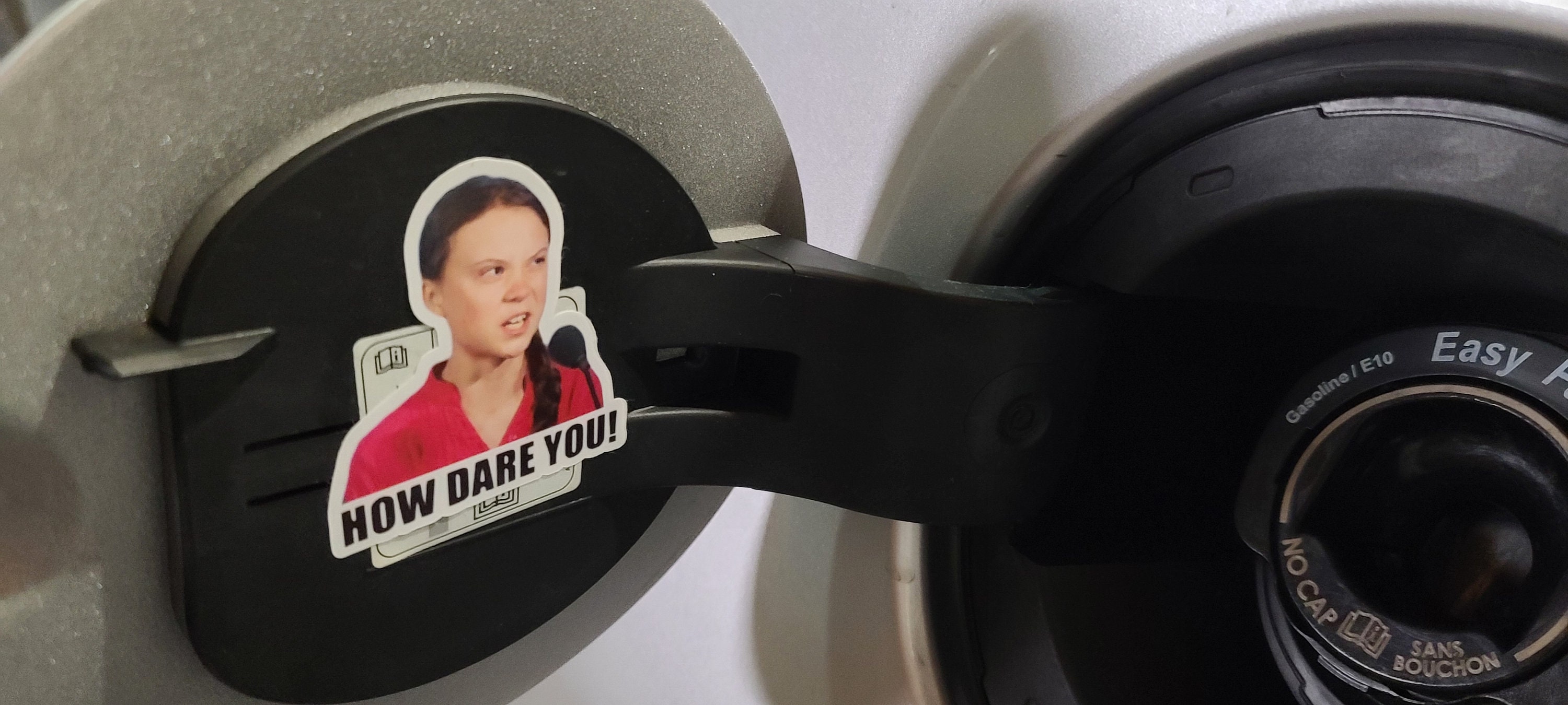 How Dare You Sticker Sheet 13 Stickers per Sheet Water / UV Resistant ...