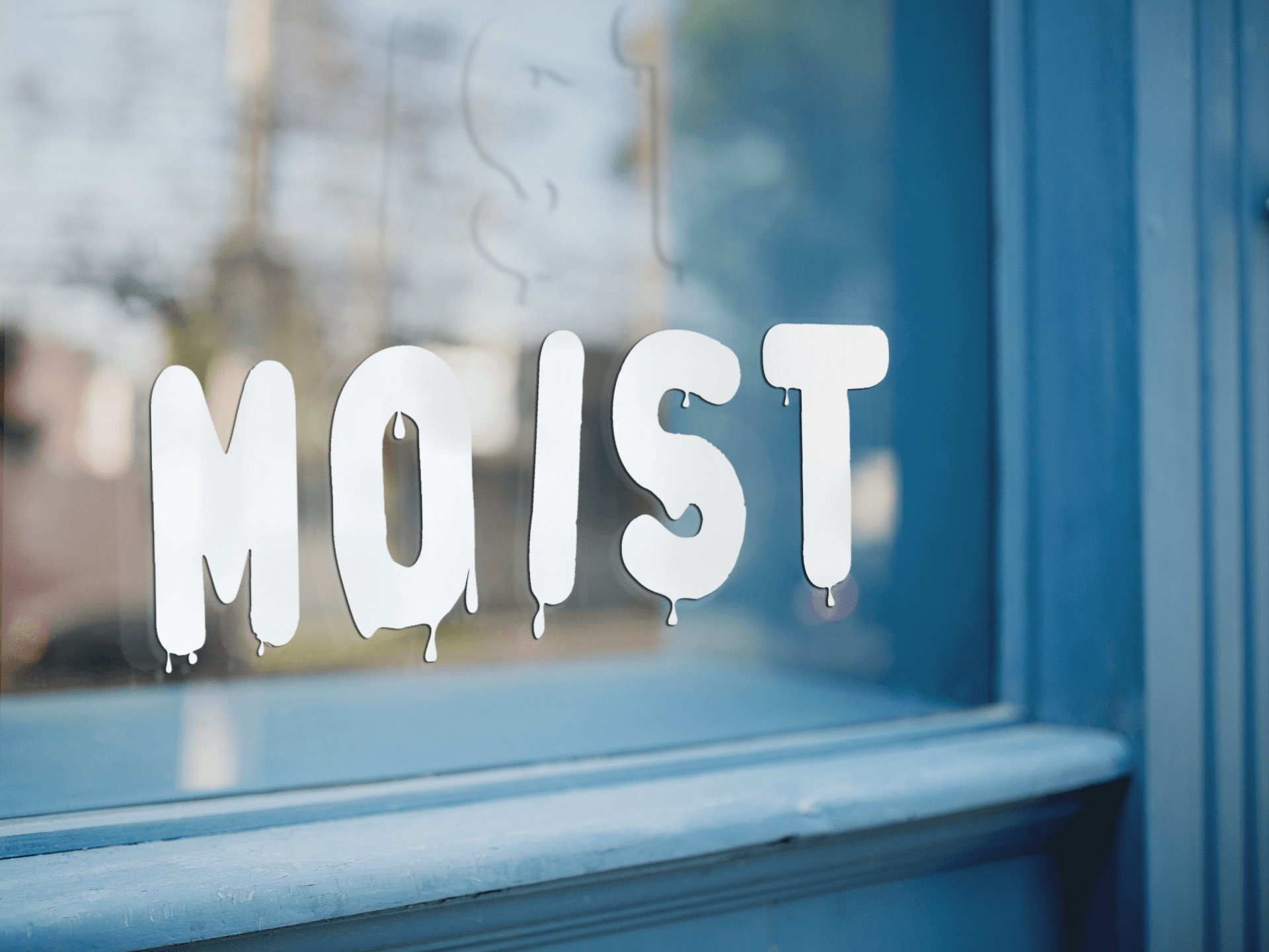 Moist Vinyl Decal Funny Sticker, Car Décor, Car Accessory, Decor, Funny ...