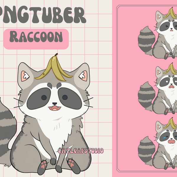 Raccoon Vtuber Model - Etsy Canada