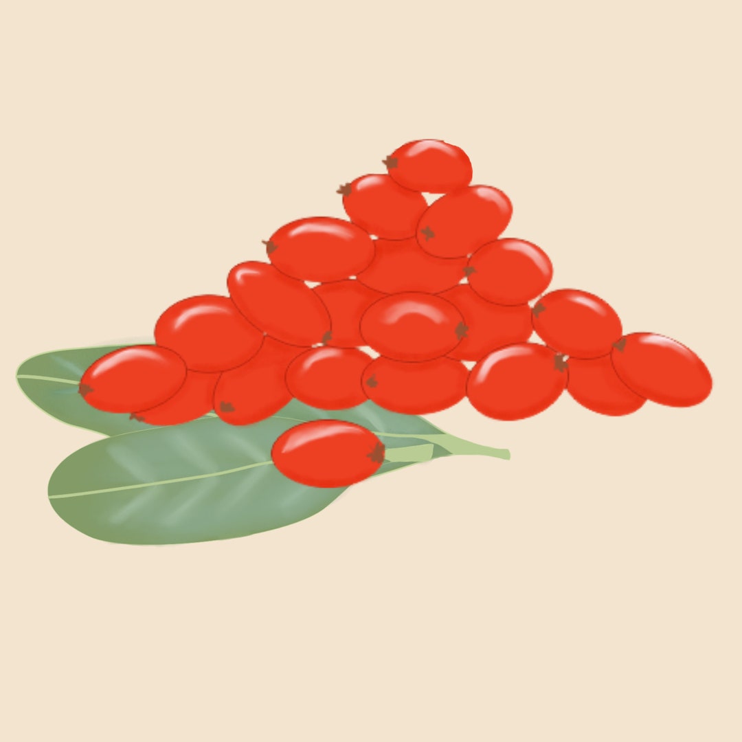 Painted Soap Berry Clipart - Etsy