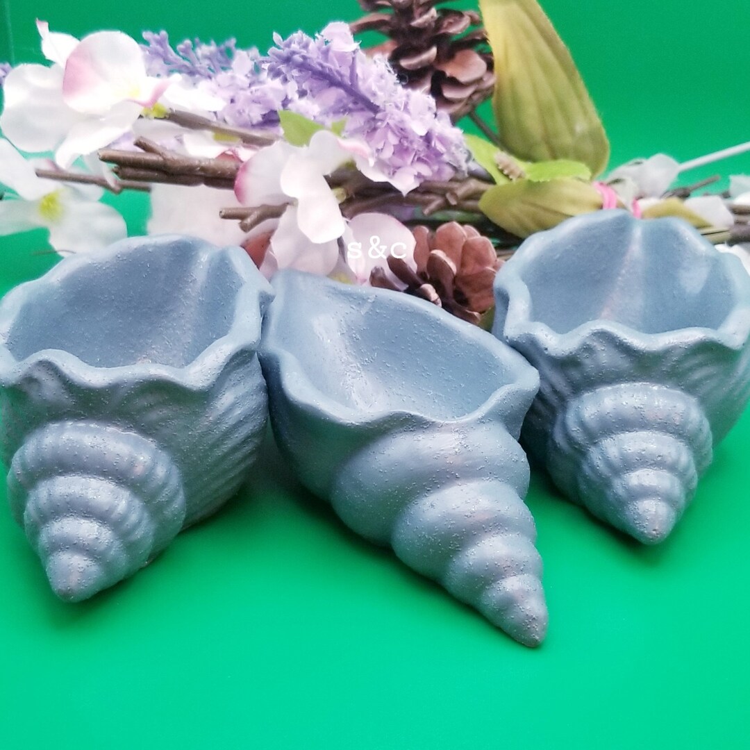 Small Conch Seashell Ornaments Tabletop Decoration Set of - Etsy