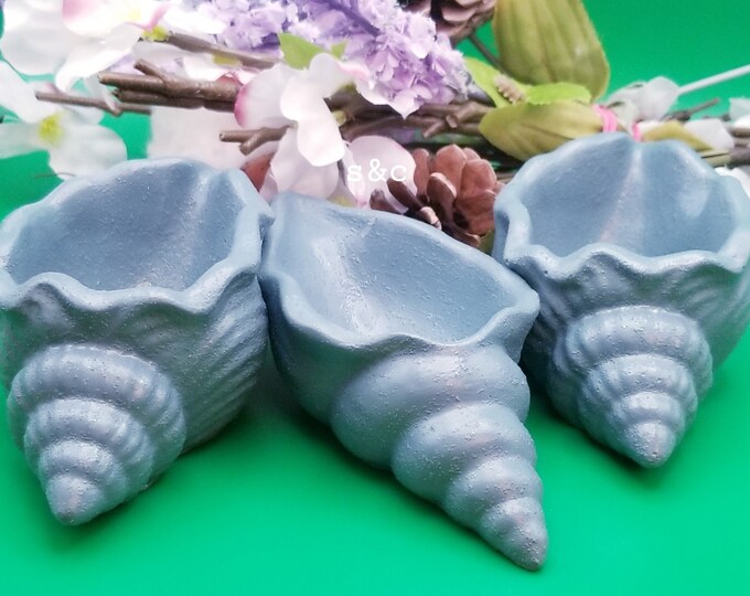 Small Conch Seashell Ornaments Tabletop Decoration Set of Three ...