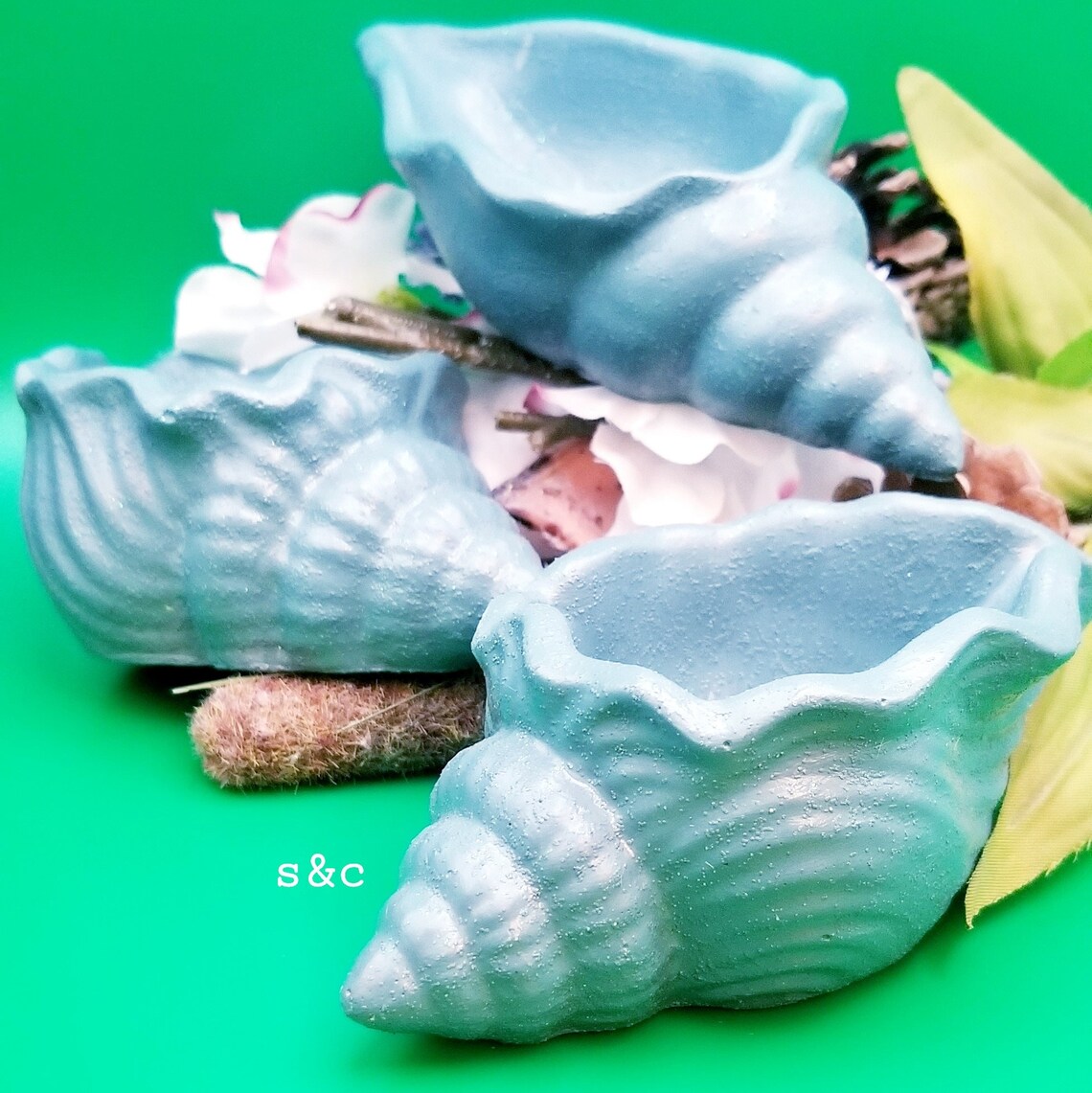 Small Conch Seashell Ornaments Tabletop Decoration Set of Three ...