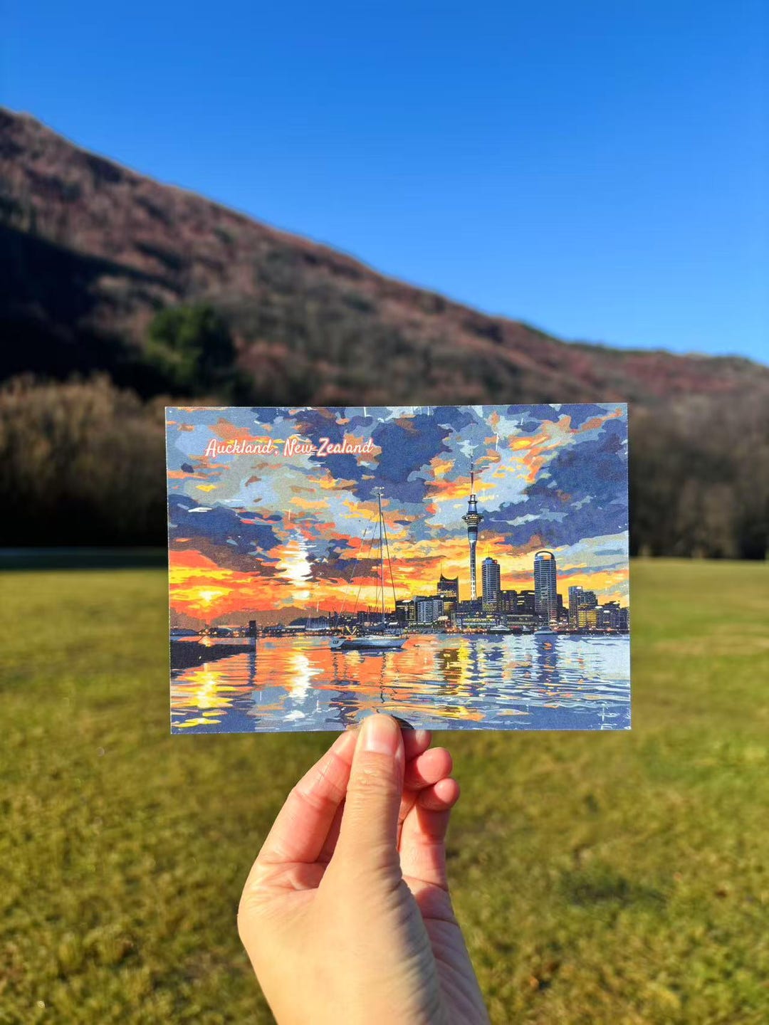 Postcard | Gouache Auckland Sky Tower Postcard, New Zealand Postcard ...