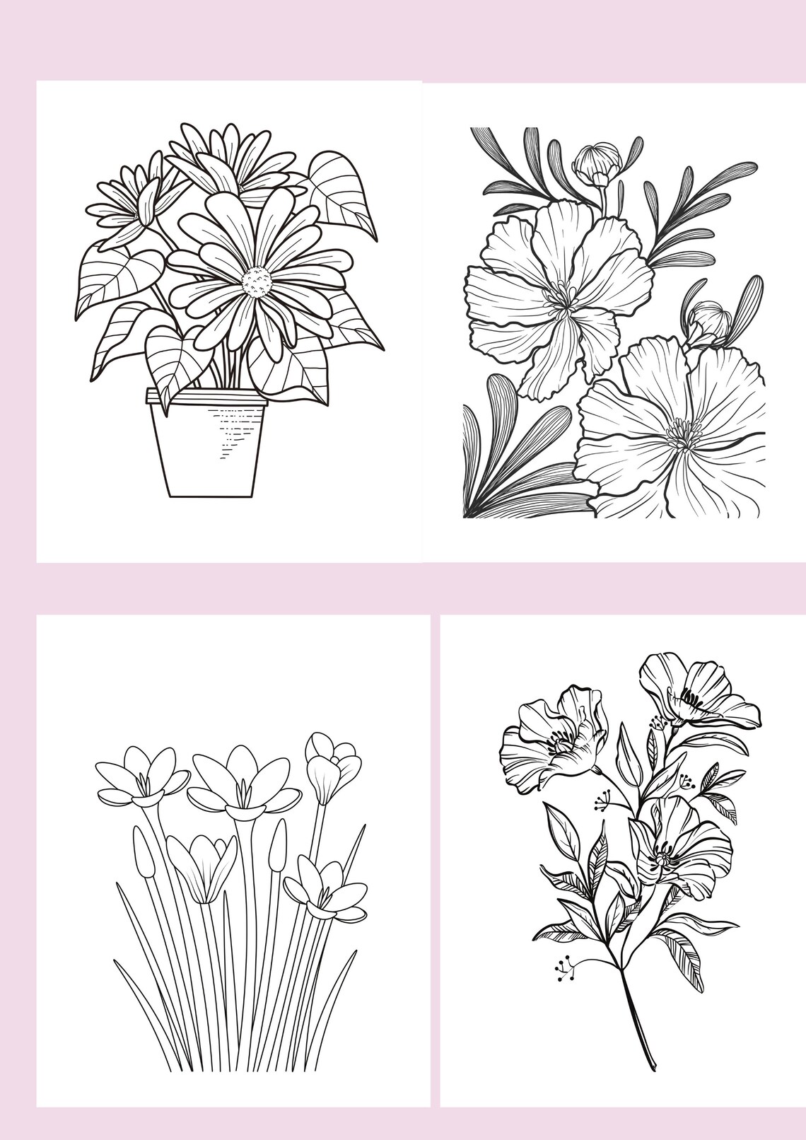 40 Flower Coloring Pages - Etsy