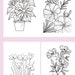40 Flower Coloring Pages - Etsy