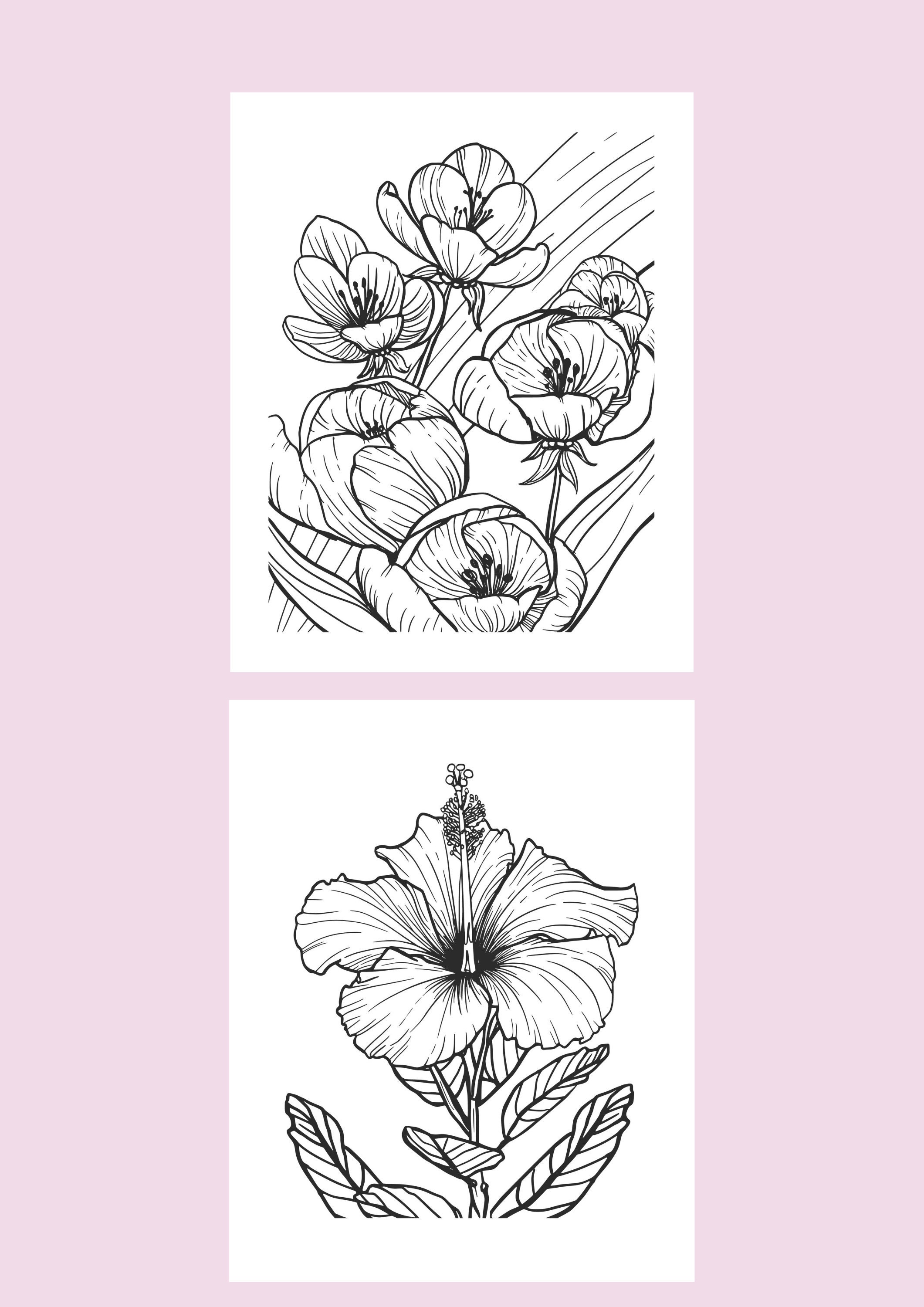 40 Flower Coloring Pages - Etsy