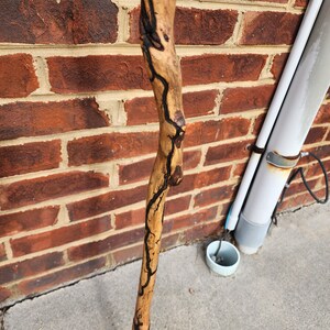 Walking Sticks - Etsy