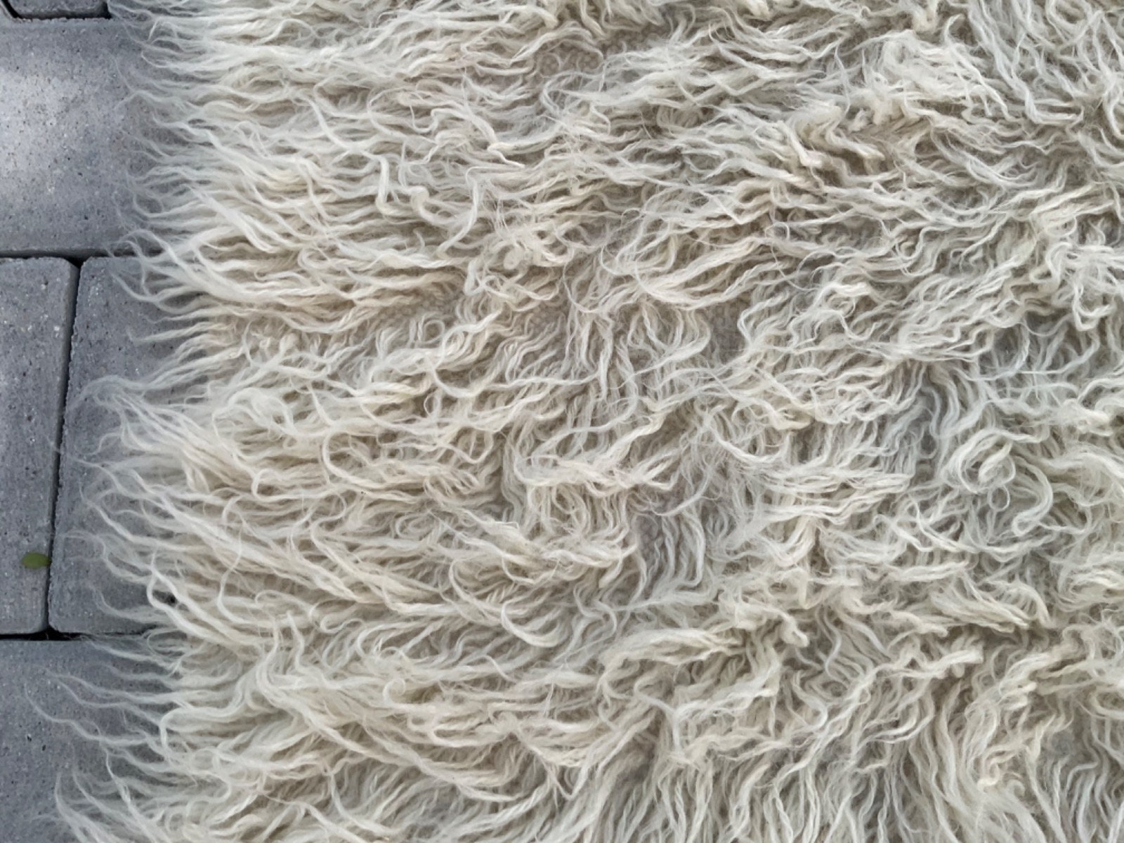 Genuine Natural Creamy White Sheepskin Rug Pelt Giant - Etsy