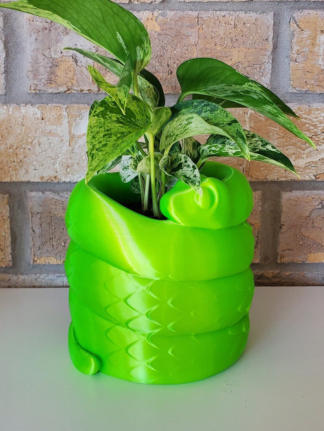 Unique Indoor Planter 3D Printed Custom Snake Plant Pot With Drainage ...