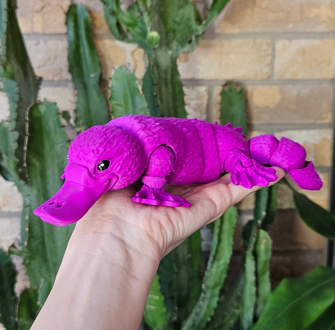 Handcrafted 3D Printed Articulated Flexi Platypus Toy Realistic ...