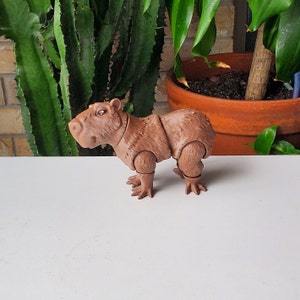 3D Printed Articulating Capybara Fidget Toy: Sensory Desk Pet - Etsy