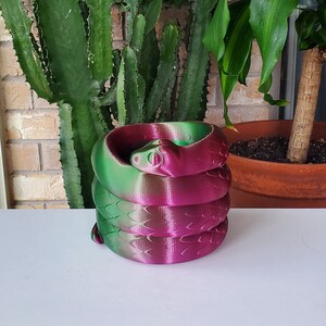 Unique Indoor Planter 3D Printed Custom Snake Plant Pot With Drainage ...