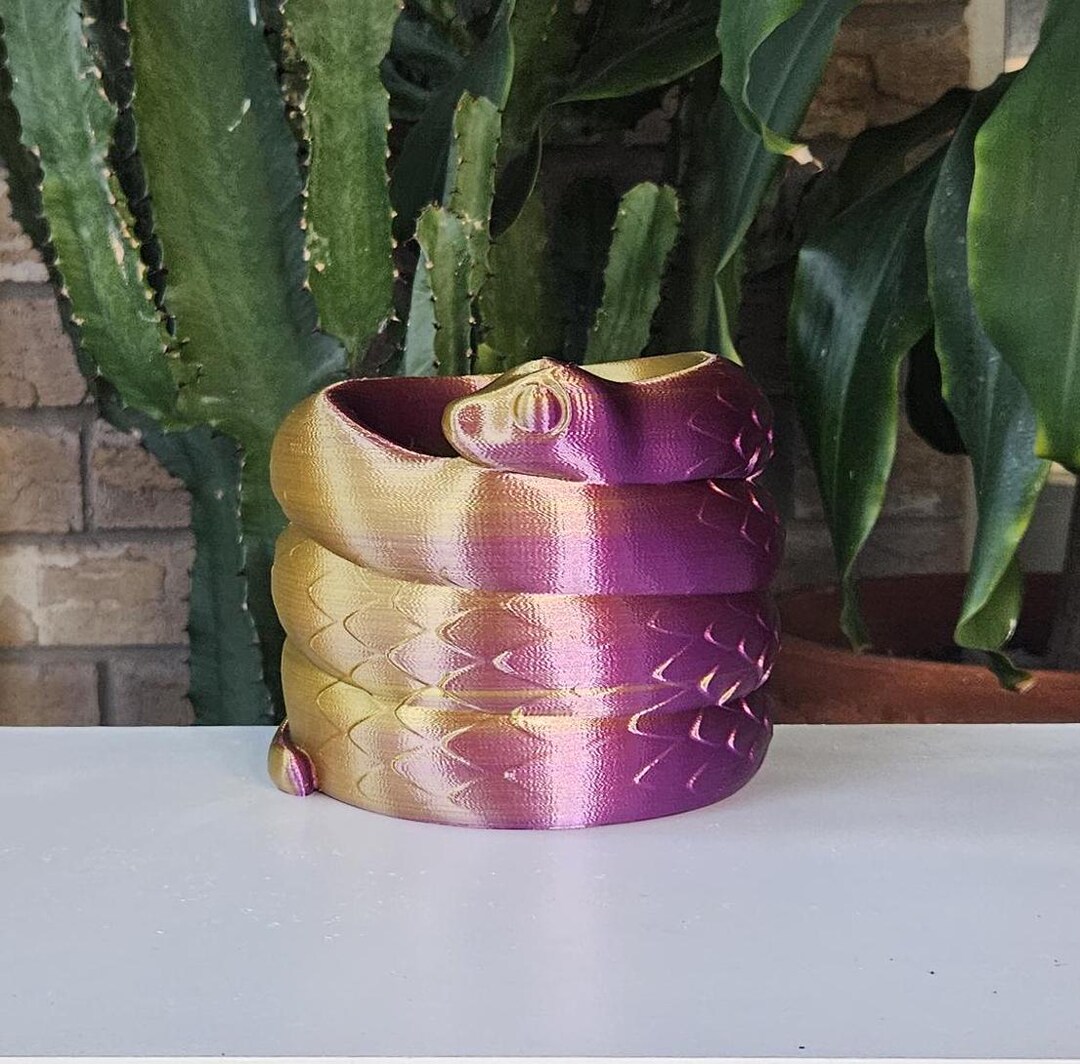 Unique Indoor Planter 3D Printed Custom Snake Plant Pot With Drainage ...