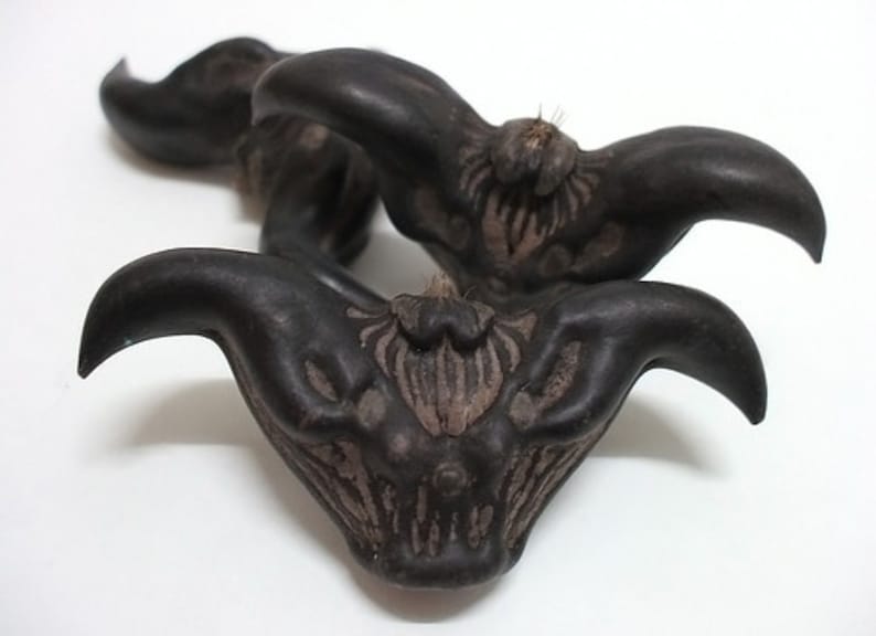 Larger Devil Pod, Devil Nut, Devil's Head, Bat Nut, Goat Head, Goat Nut ...