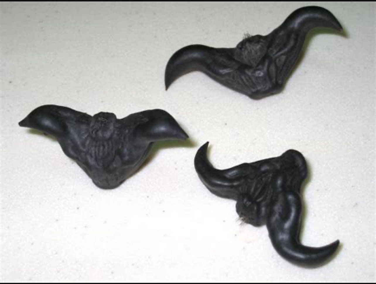 Larger Devil Pods, Devil Nuts, Devil's Head, Bat Nuts, Goat Heads, Goat ...