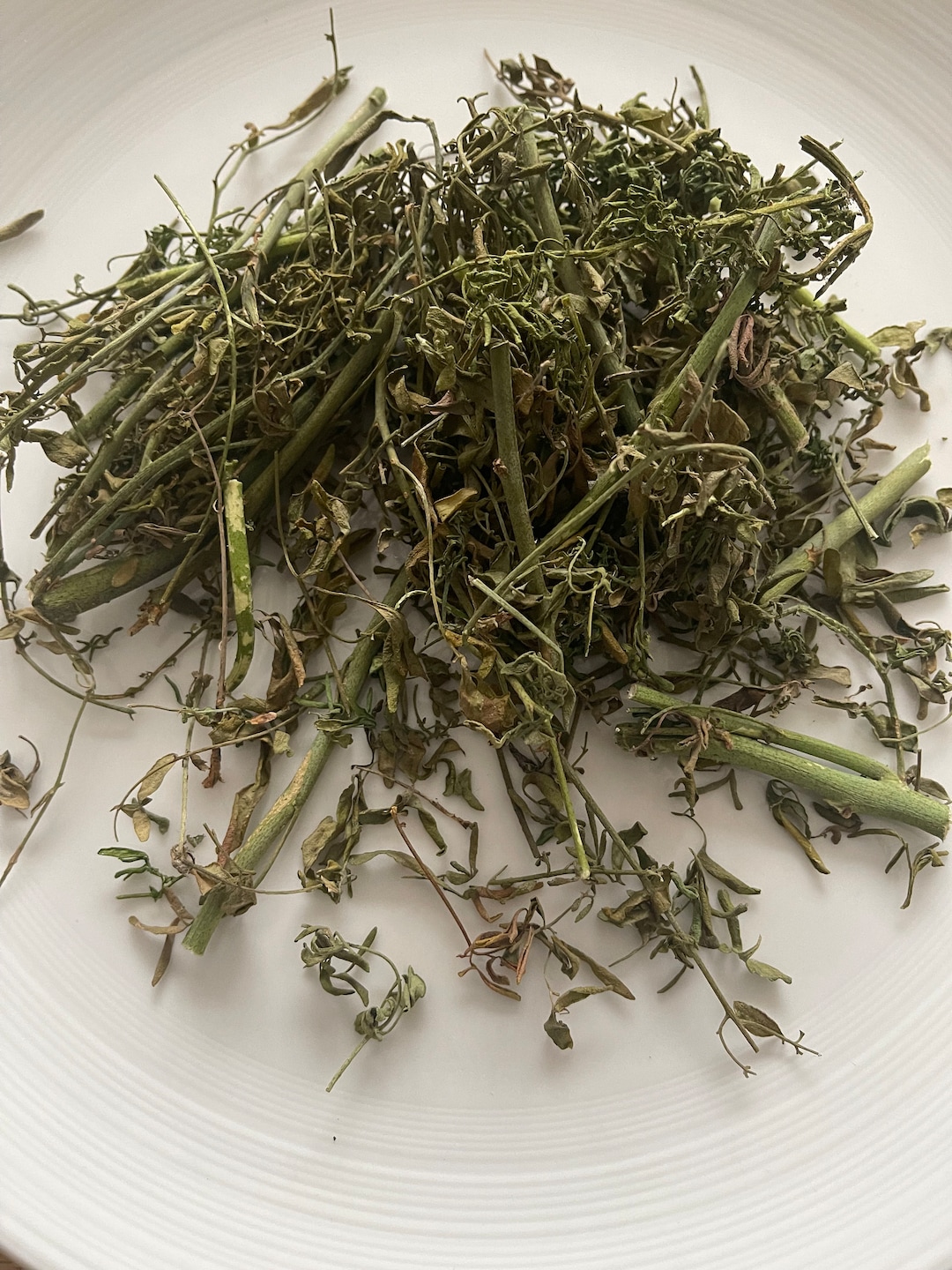 Dried Rue, Organic Hand Harvested, Ritual Protection, Witchebane 15g - Etsy