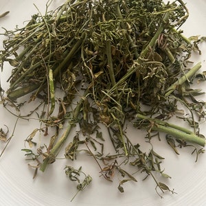 Dried Rue, Organic Hand Harvested, Ritual Protection, Witchebane 15g - Etsy