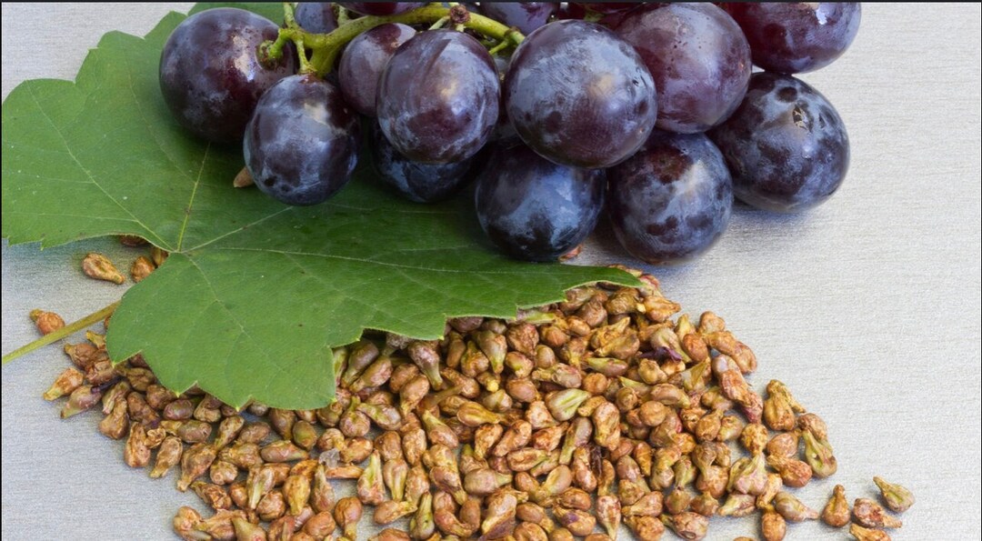Organic Whole Black Grape Seeds 50g Supplement, Heart Health, Oxidants ...