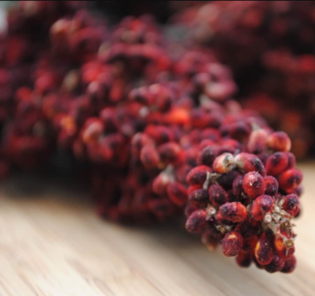 Organic Wild Sumac Whole Berries, Staghorn Berries 85g - Etsy