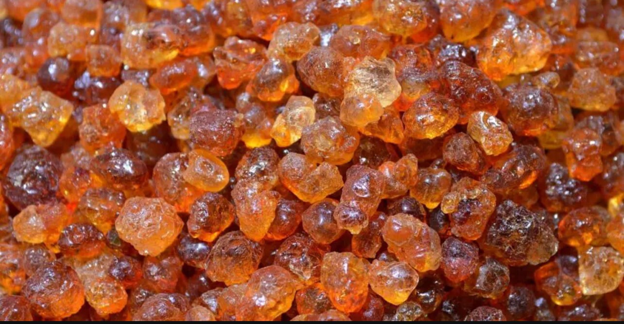 Wild Organic Hand Harvested Peach Gum Resin 50g - Etsy