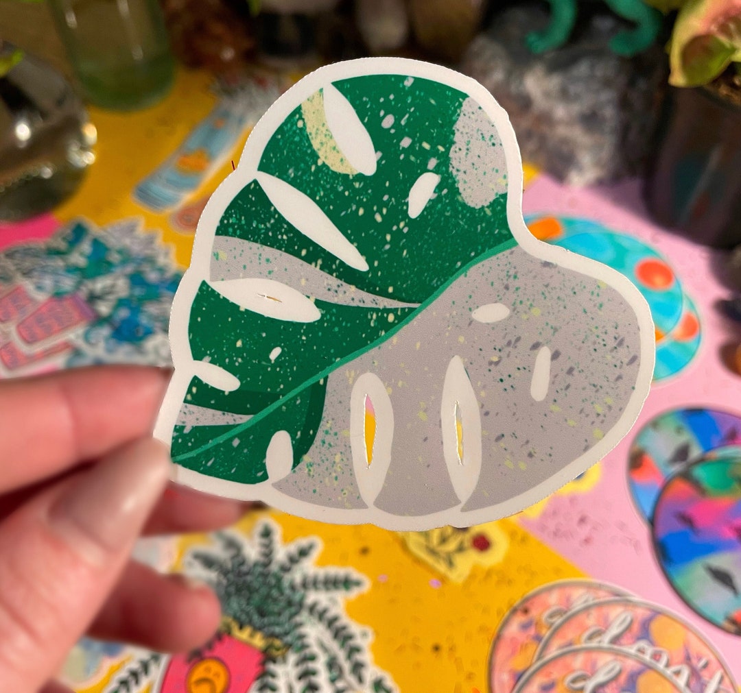 Variegated Monstera Vinyl Sticker - Etsy