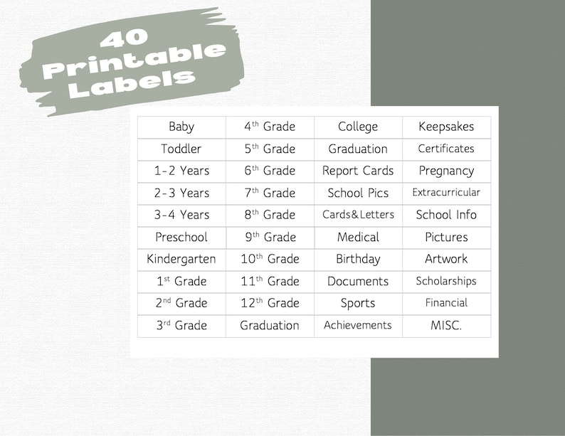 Printable Milestone Bin Labels | Instant Download | School File Covers ...