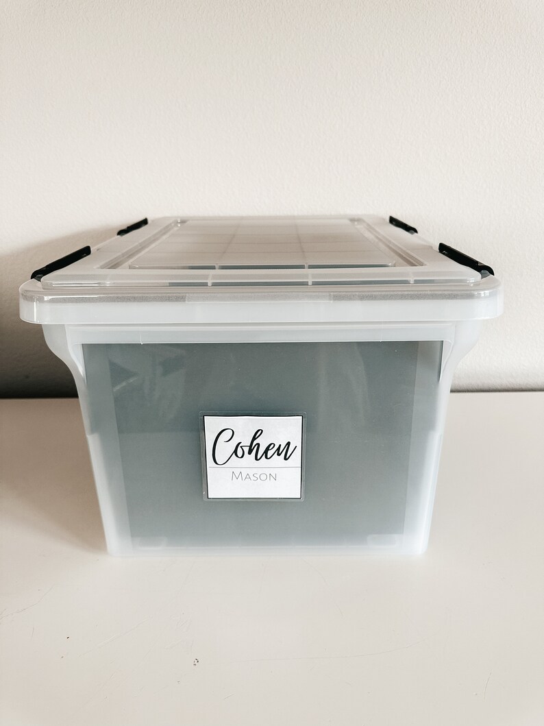 Printable Milestone Bin Labels | Instant Download | School File Covers ...