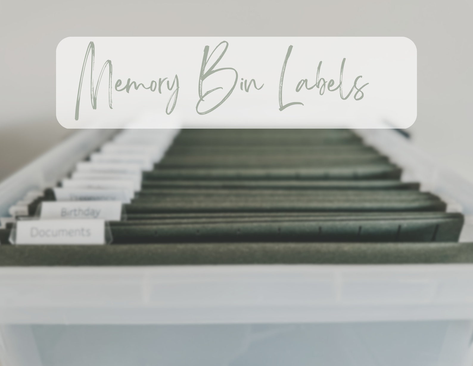 Printable Milestone Bin Labels | Instant Download | School File Covers ...