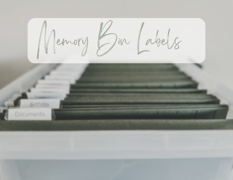 Printable Milestone Bin Labels | Instant Download | School File Covers ...