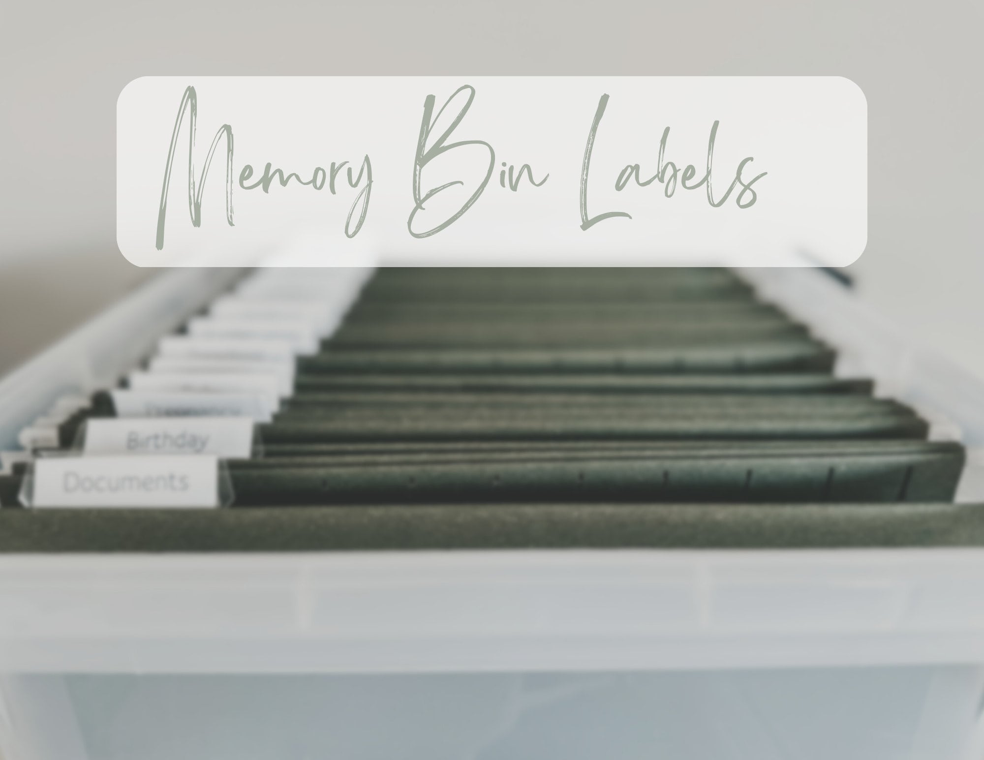 Printable Milestone Bin Labels | Instant Download | School File Covers ...