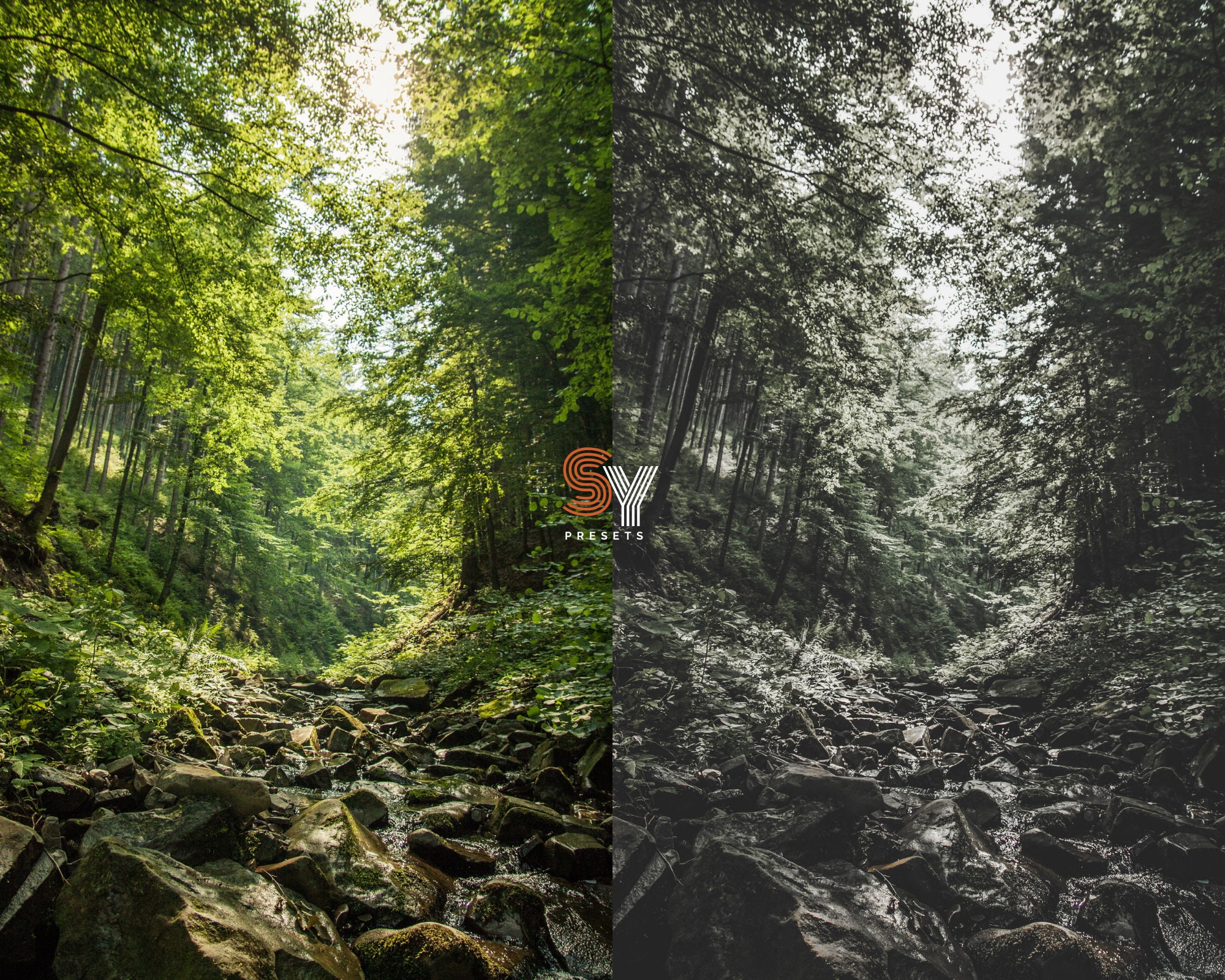 8 Cinematic Green Lightroom Presets / Mobile & Desktop / Instragram ...