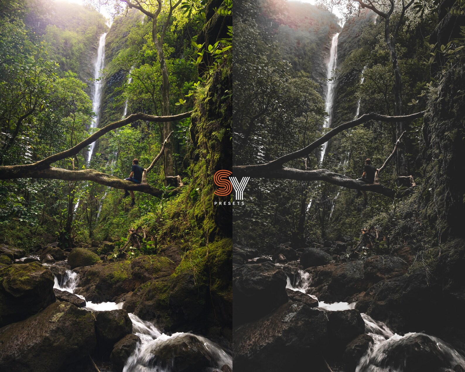 8 Cinematic Green Lightroom Presets / Mobile & Desktop / Instragram ...