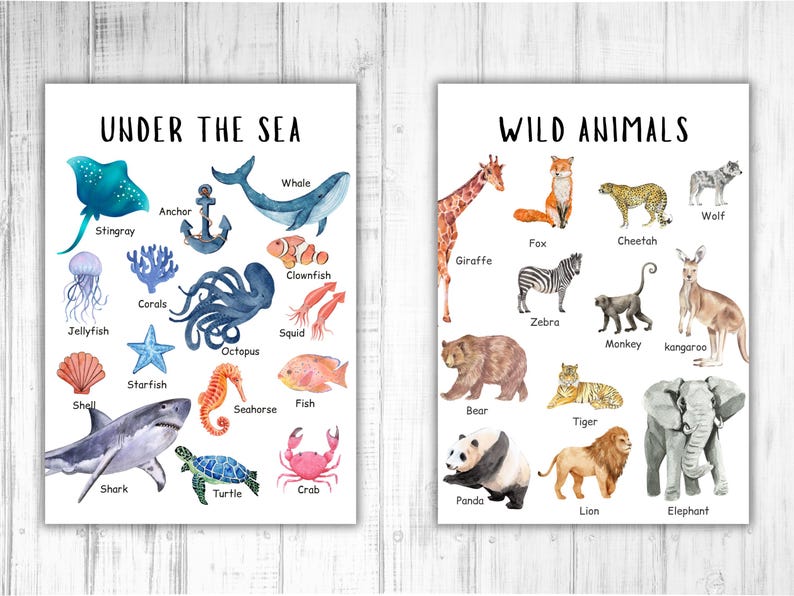 Educational Animals Chart for Kids Toddler Learning Poster Educational ...