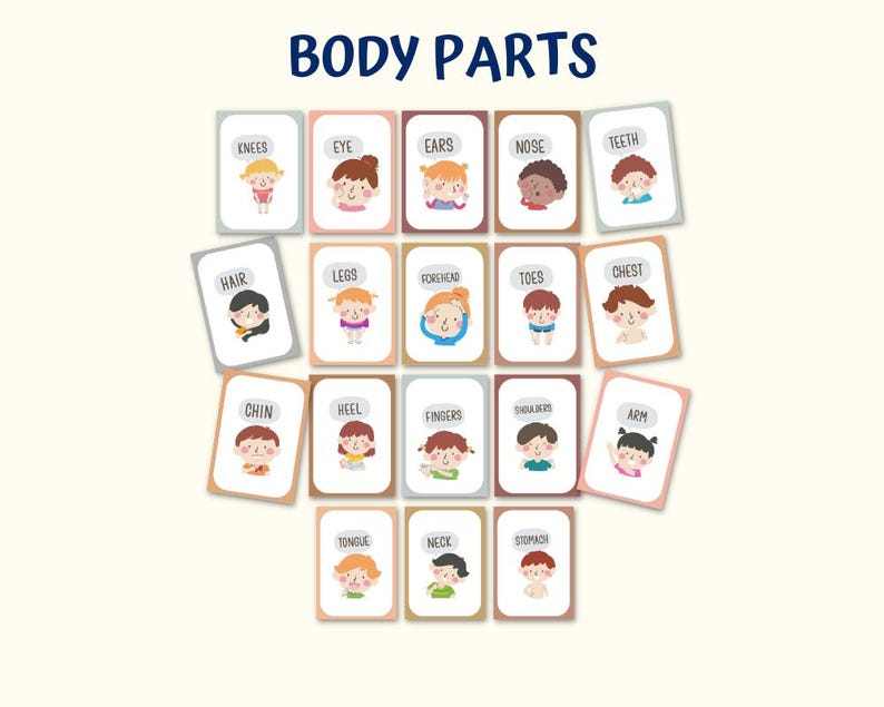 Printable Flash Cards for Kids Learning Bundle Educational Tools for ...